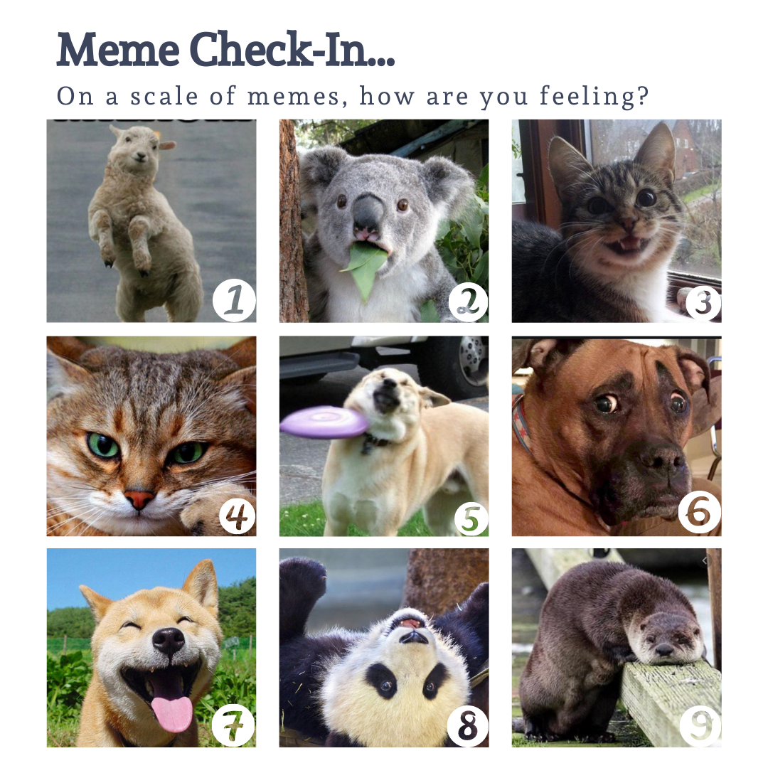 5 Ideas for SEL in a Remote Learning Environment - George Couros